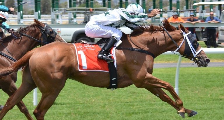 Evolution driving improvements in racehorse speed, study shows ...