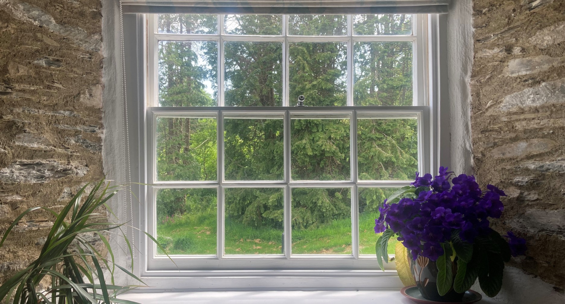 Scientists want your view on watching nature through the window - News