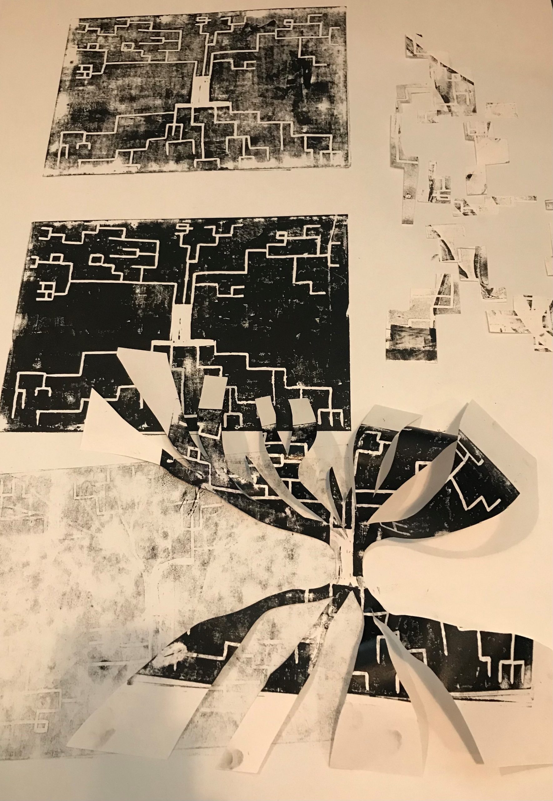 British Science Festival exhibition aims to ‘demystify’ environmental ...