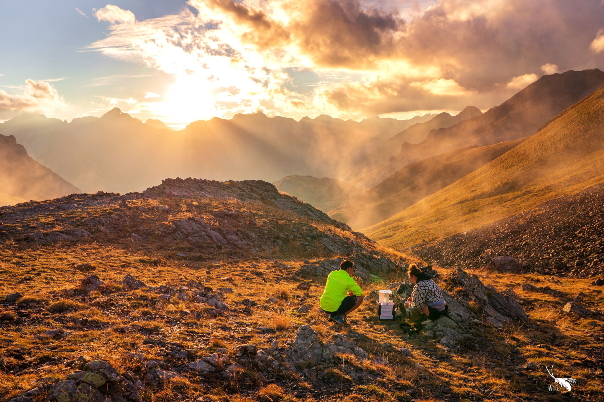 Bats feast as insects migrate through Pyrenees - University of Exeter News