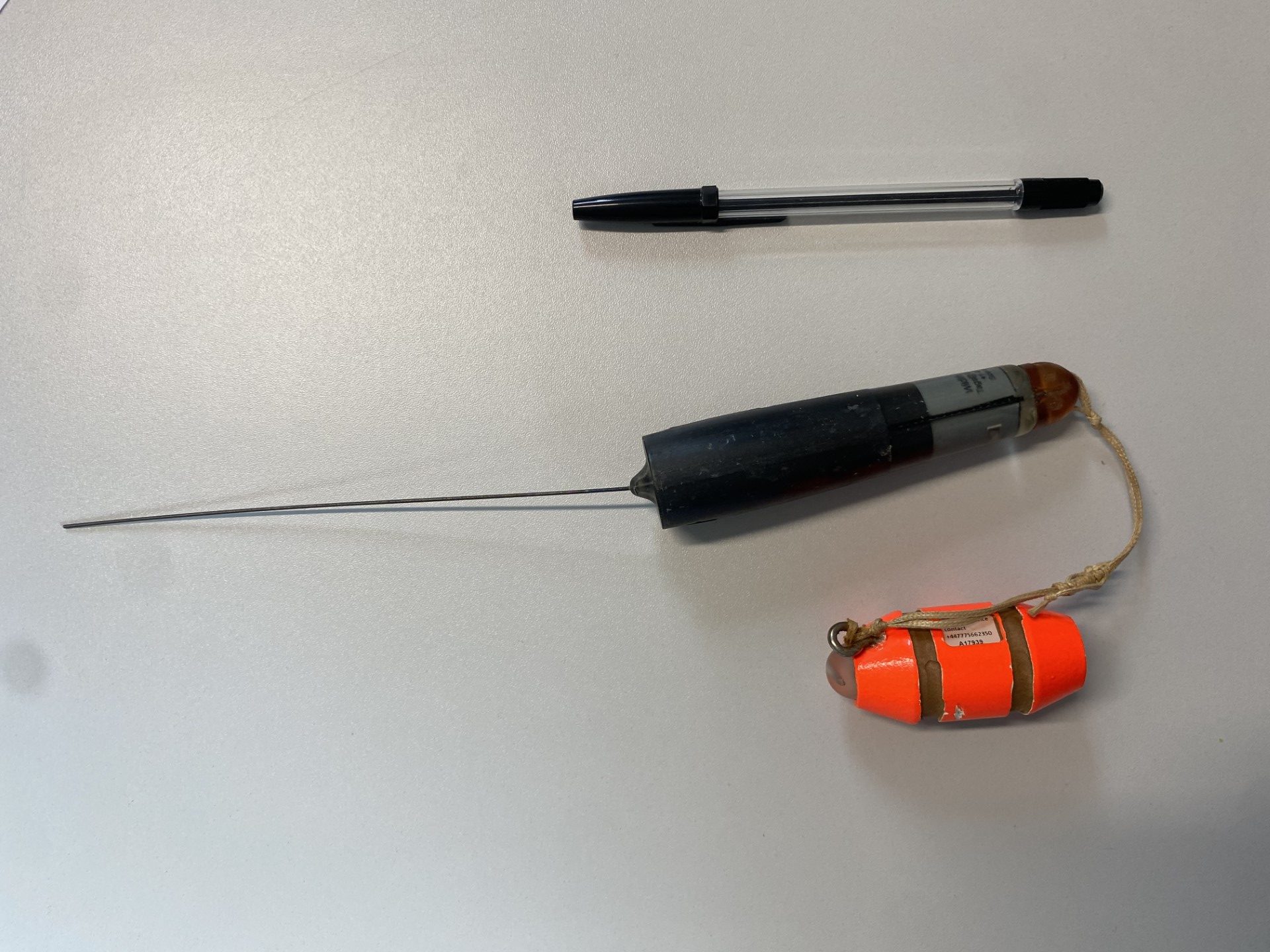 Scientists baffled as tuna ‘takes motorway to Birmingham’ - University ...