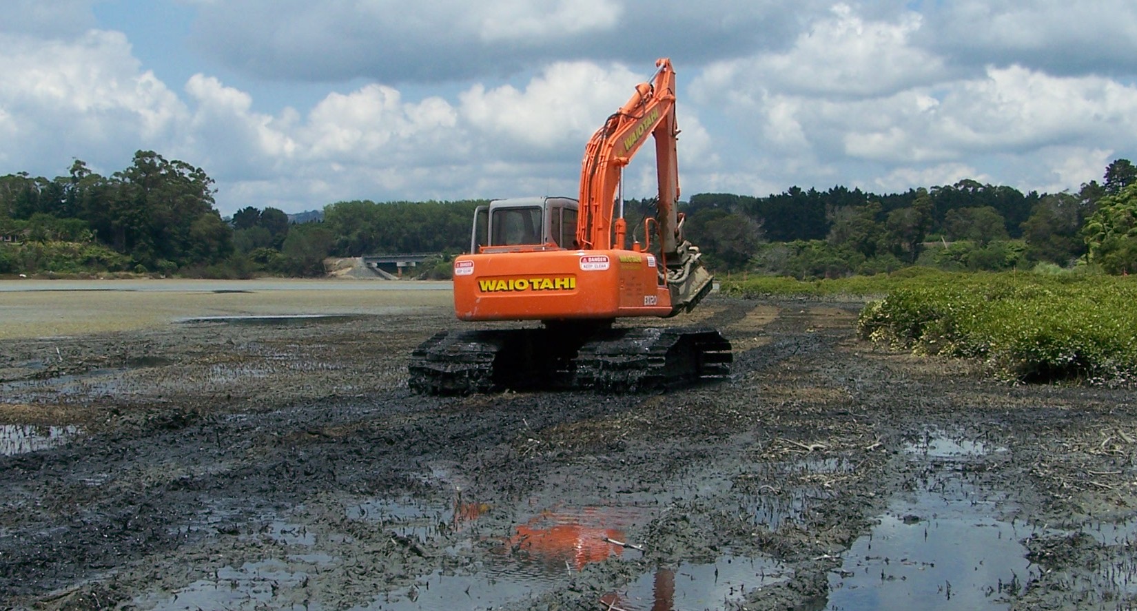 Clearing mangroves makes ‘muddification’ worse - University of Exeter News