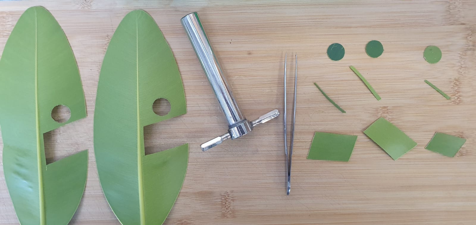 Ozone pollution reduces tropical forest growth – Highpoint Digest