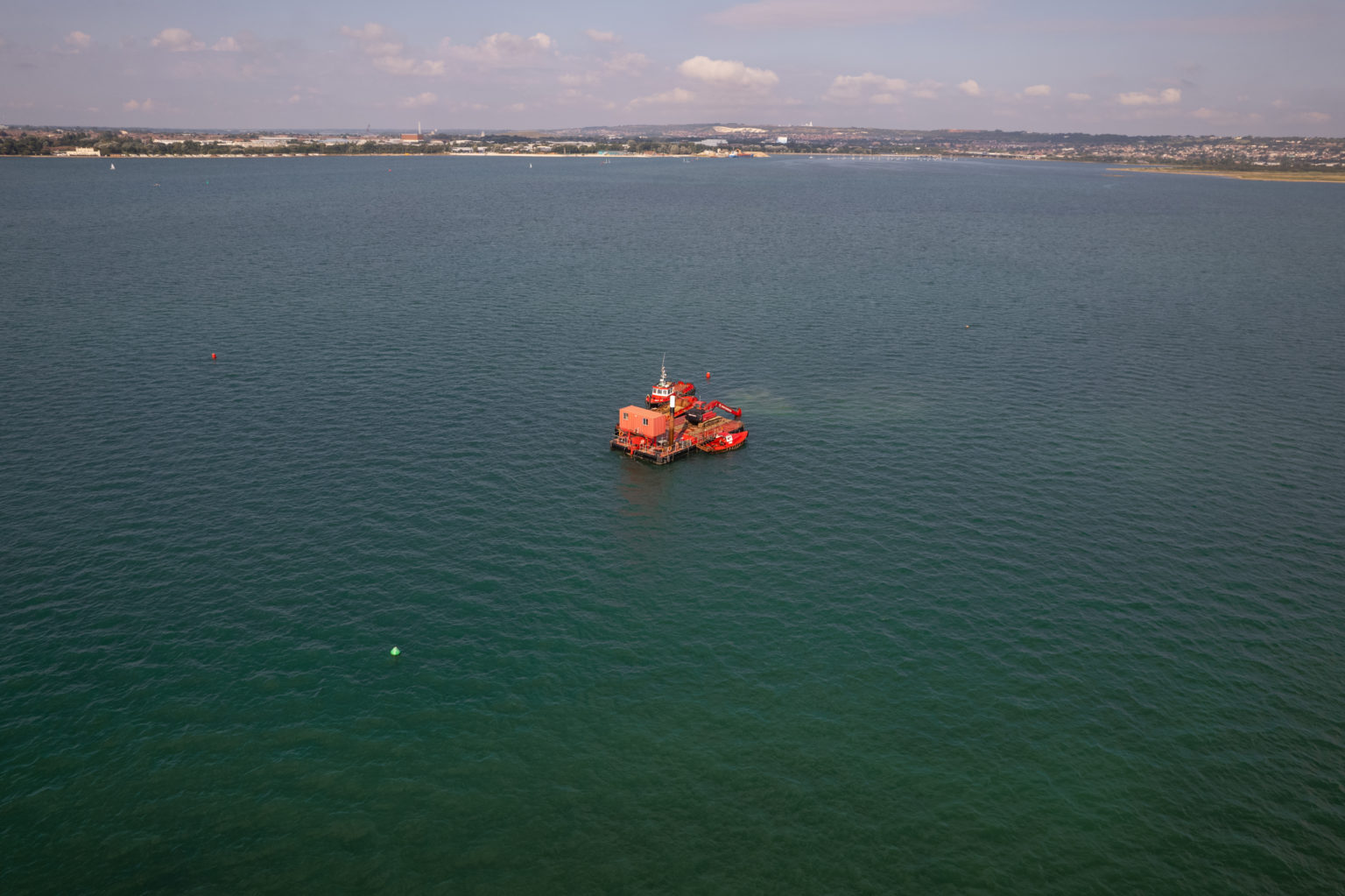 Oyster reefs once thrived along Europe’s coasts – now they’re gone ...