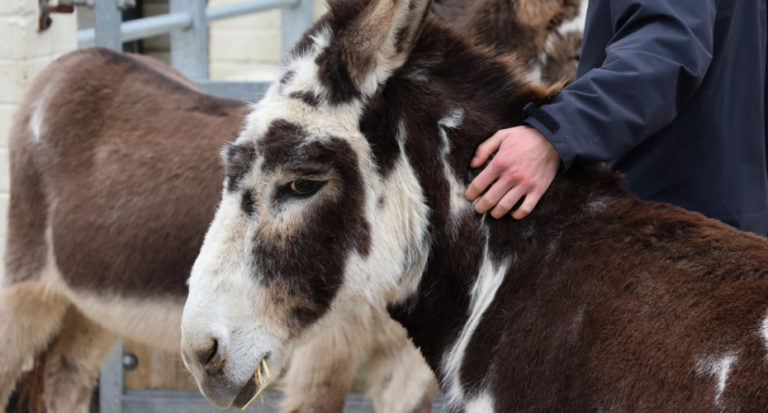 New course offers first-ever critical analysis of the representation of ...