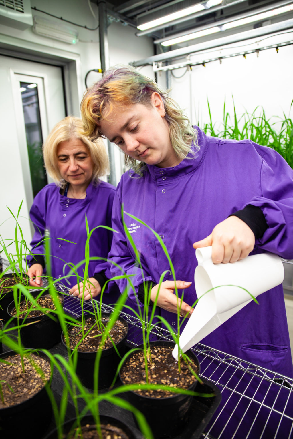 Pioneering facility allows researchers to replicate wind and rain to ...