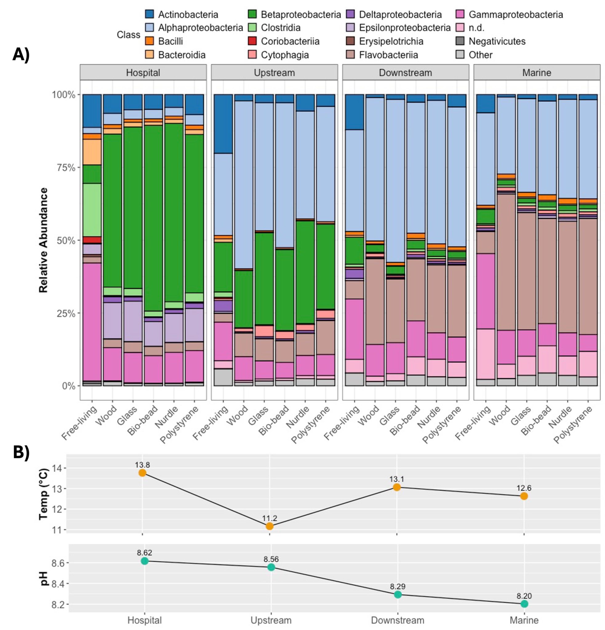 Microplastics pose a human health risk in more ways than one ...