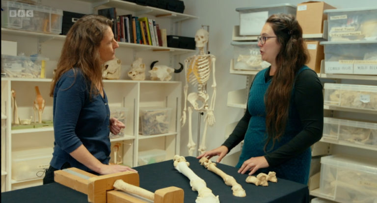 Archaeological expertise at Exeter featured in new series of Digging ...