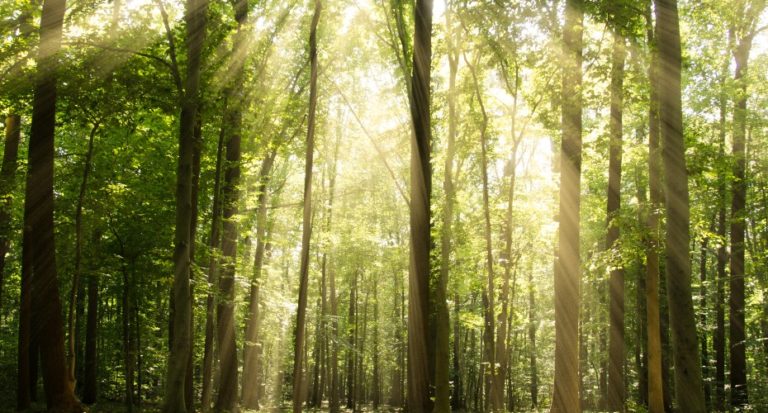 ‘Atmospheric Scrubbing’ could reduce cooling effects of stratospheric ...